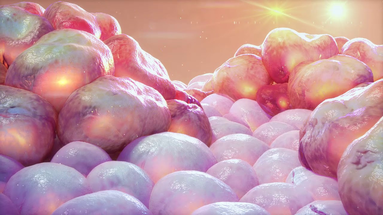 Cancer Cell Microenvironment 3D making of - YouTube