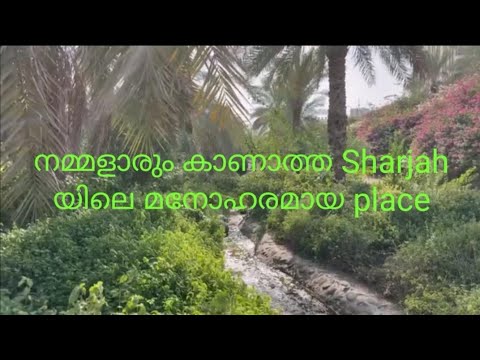 Hidden vally with greenery in dhaid market #sharjahdhaid#hiddenplace ...
