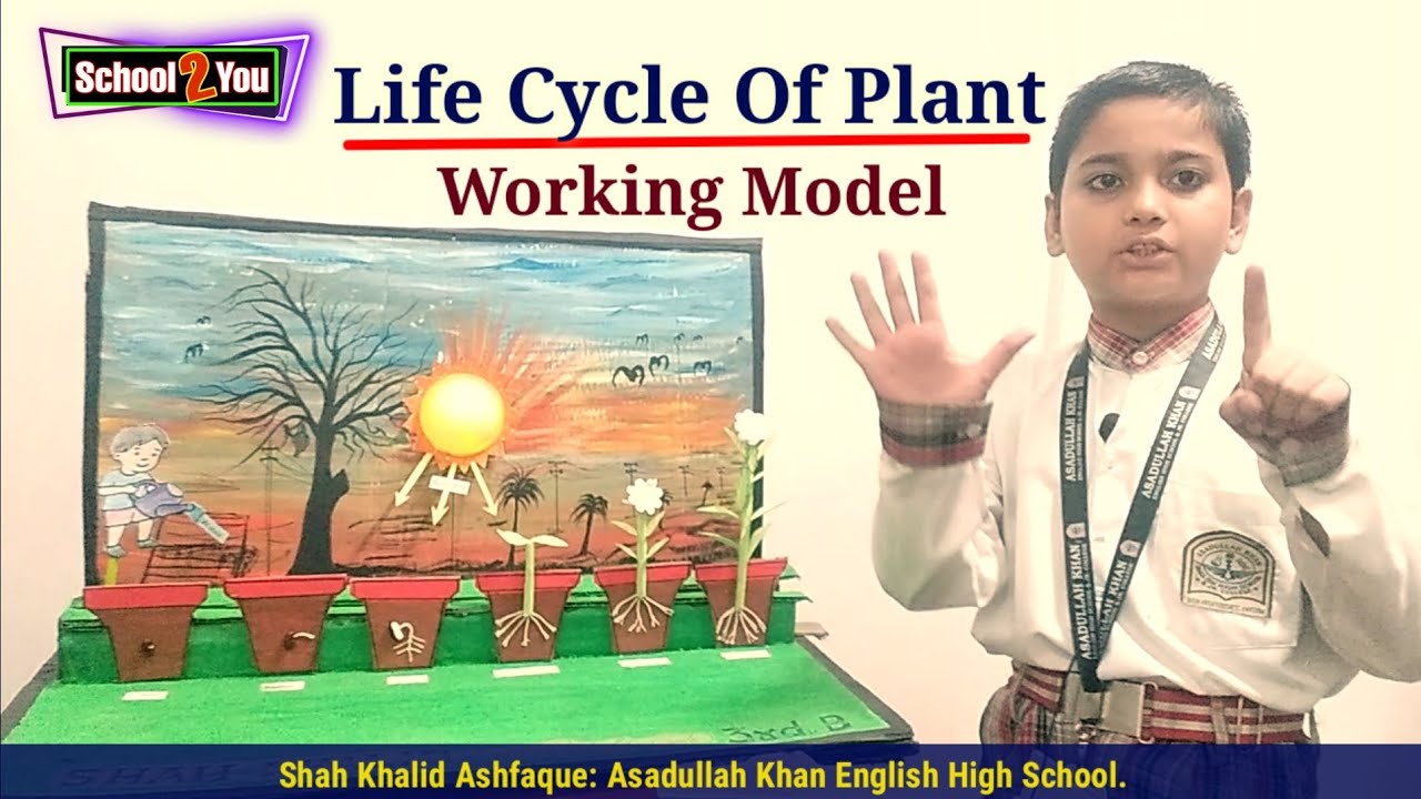 Plant Life Cycle Working Model.Inspire Award Winning Model Presented by ...