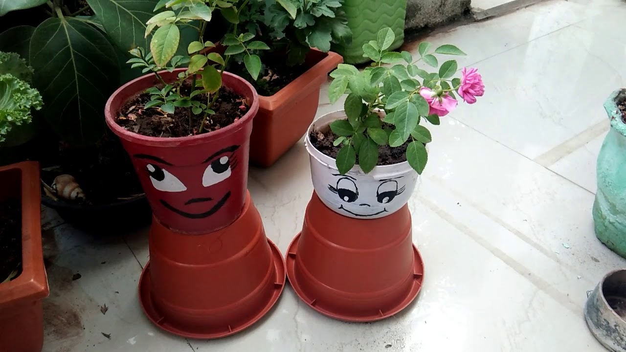 Beautiful Button Rose Blooming In Beautiful Pots.... - YouTube
