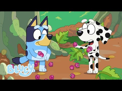 Miyav! | Dükkânlar | Bluey Türkçe Resmi Kanal