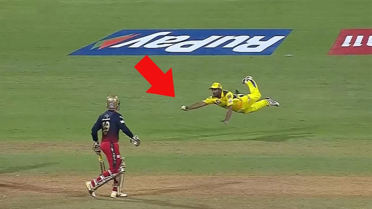 10 Amazing Catches In Cricket 🔥🔥 - YouTube
