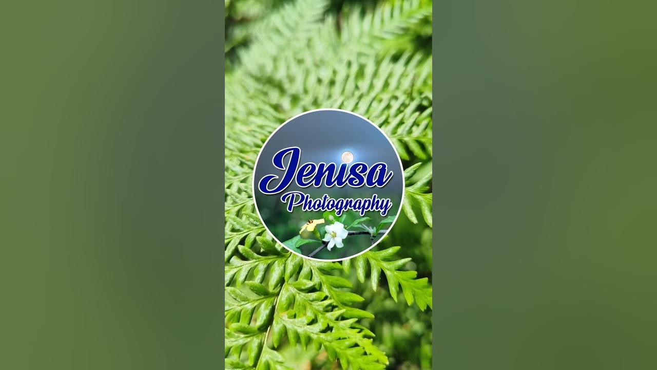 JP113 #viral #shorts #youtube #trending #jenisaphotography #naturephotography #naturelovers # ...