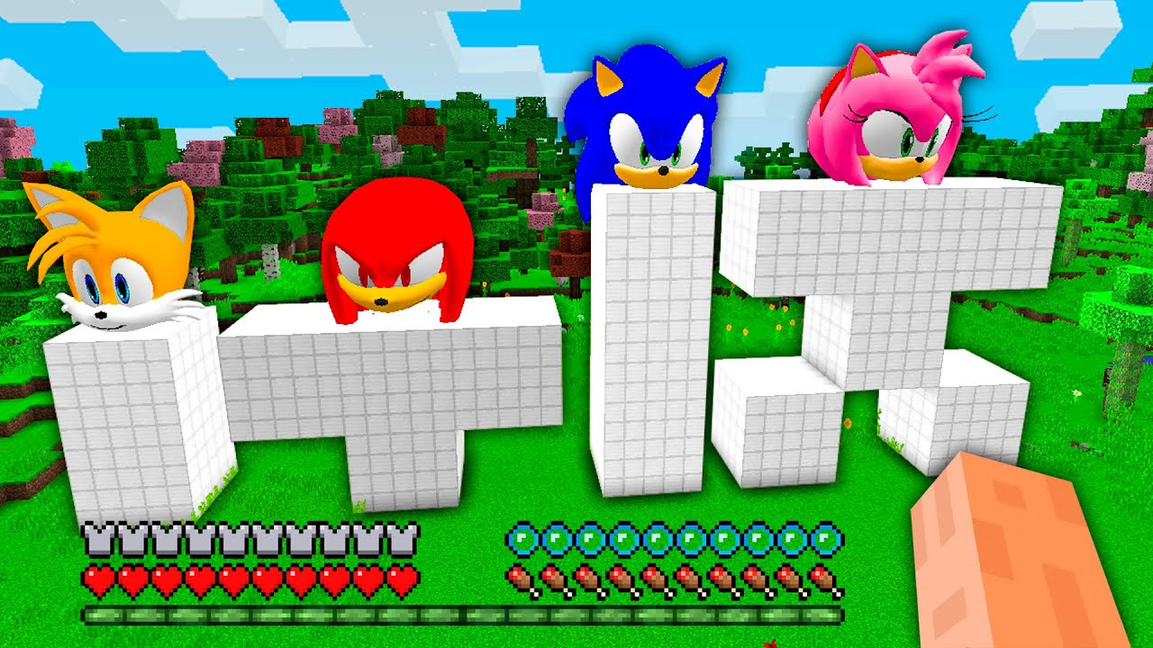 Giant SECRET SONIC and KNUCKLES TAILS AMY ROSE in minecraft ...