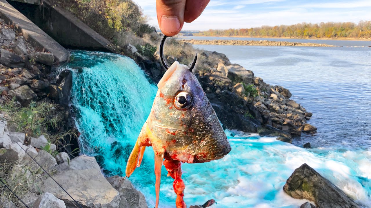Fishing a RAGING Waterfall Spillway HIDDEN in the Woods!!! - YouTube