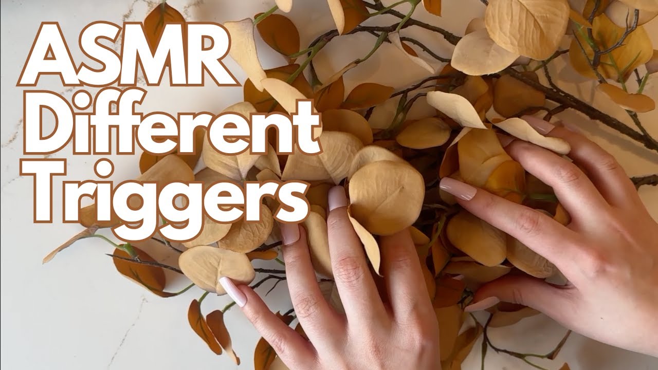 Diverse ASMR Triggers: Creating Relaxing Sounds with Various Objects - YouTube