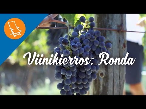 Viinikierros: löydä Ronda ja sen upeat viinitilat
