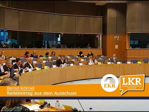 LKR – Bernd Kölmel, MdEP: EFSI soll ohne Grundlage verlängert werden!