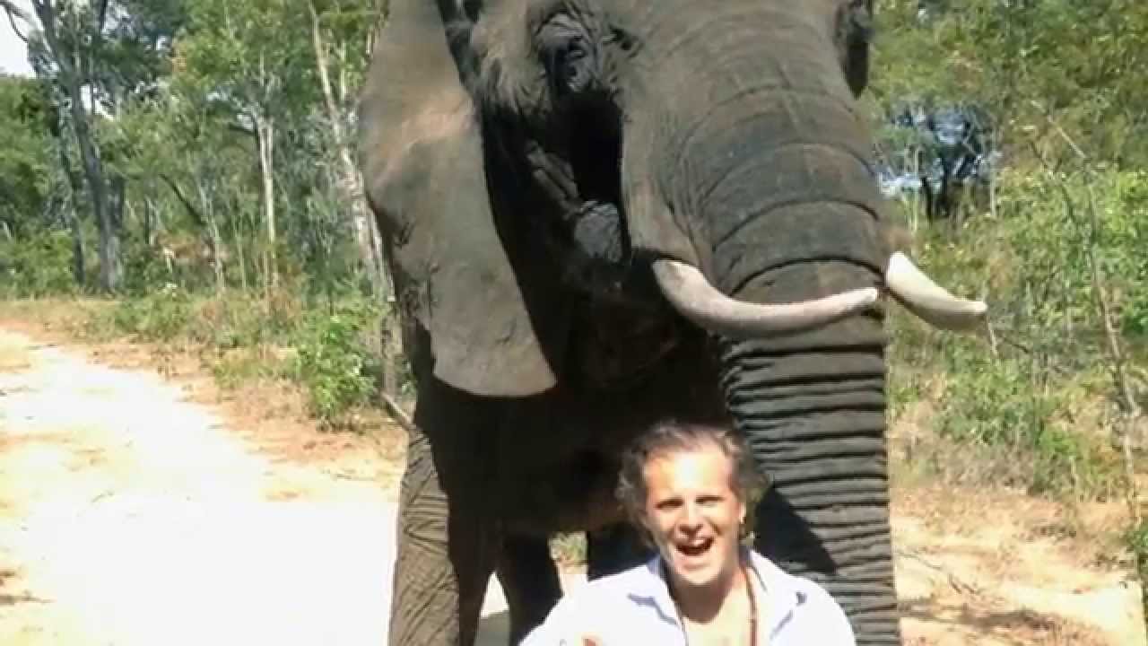 Save The Animals Chipembere Rhino Song - YouTube