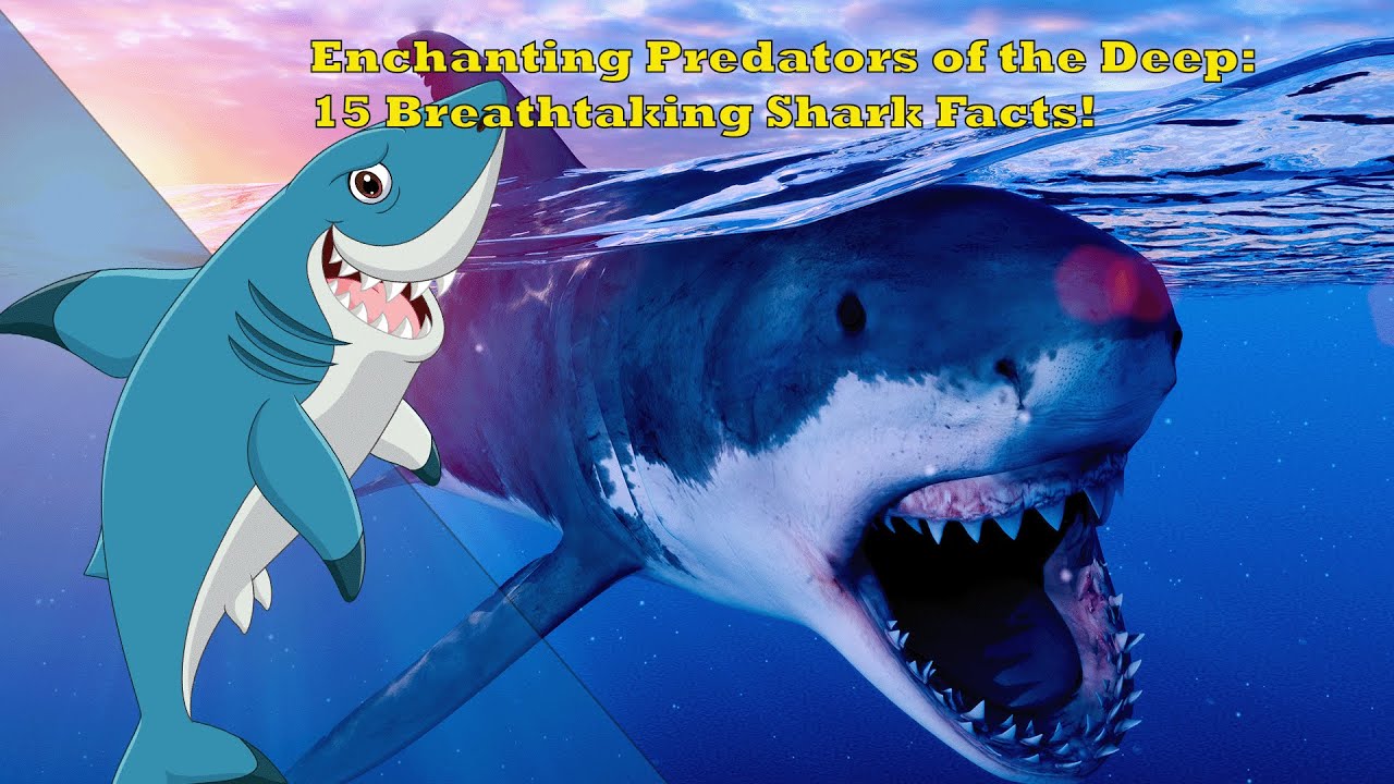Enchanting Predators of the Deep: 15 Breathtaking Shark Facts! - YouTube