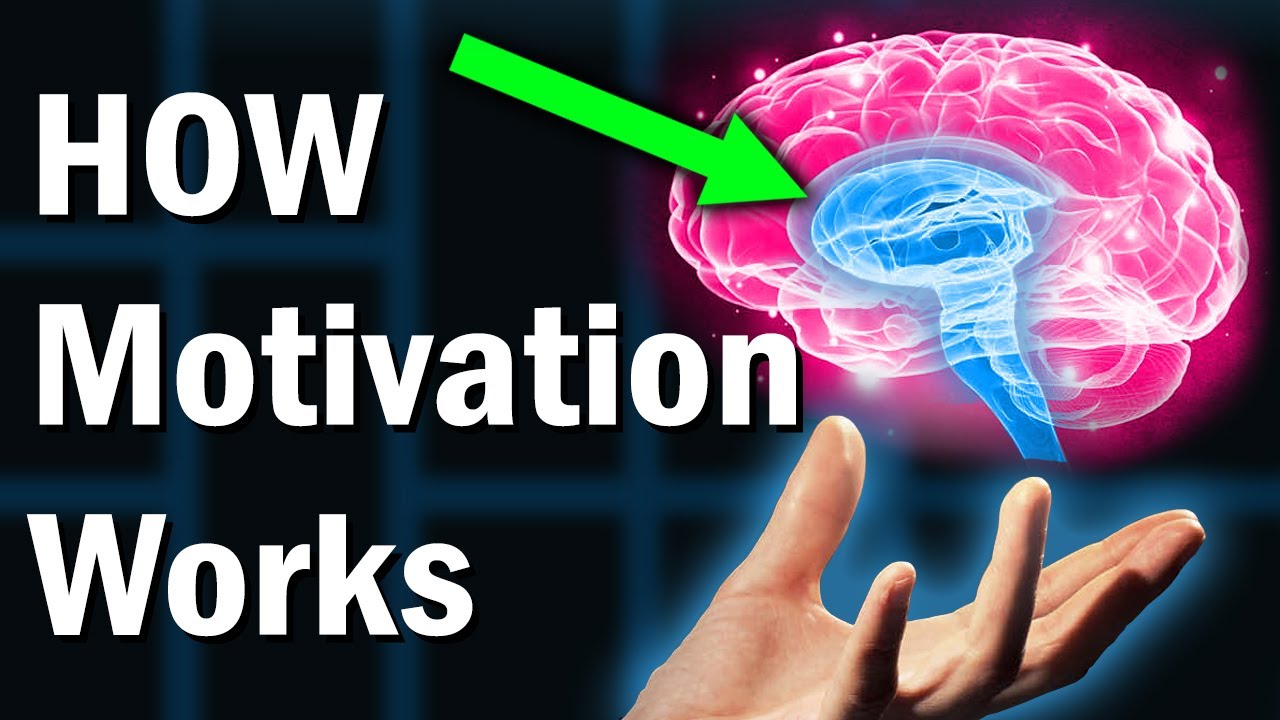 Motivation & The Human Brain - YouTube
