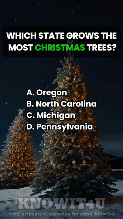 🎄🌲🇺🇸 Geography Challenge: Which U.S. State Produces the Most Christmas Trees? #geography #quiz ...
