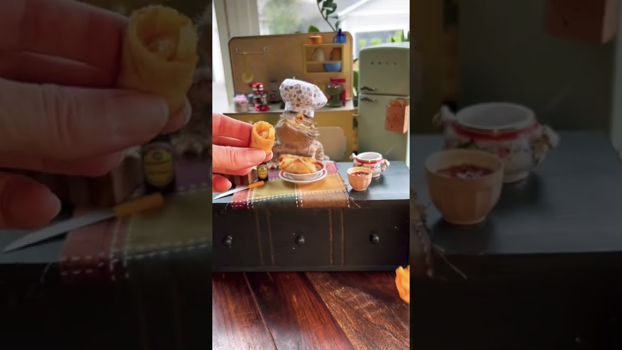Chef Lenny the bearded dragon Lizard makes tiny egg rolls in his ...