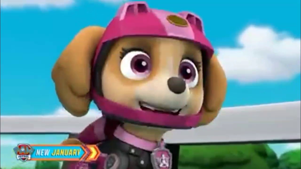 GET READY TO MOTO: PAW PATROL MOTO PUPS TRAILER - YouTube