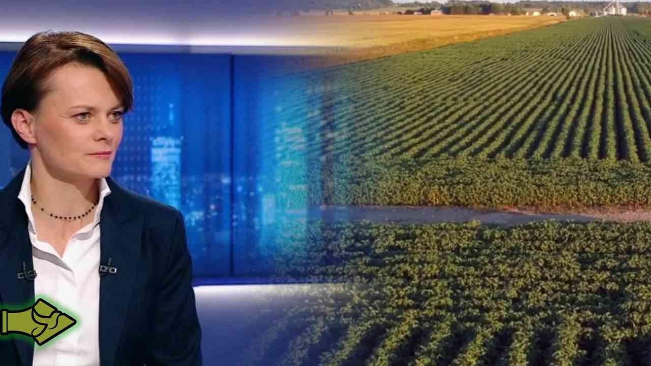 «ΝΑ ΔΟΥΜΕ ΠΡΩΤΑ ΤΟΥΣ ΔΙΚΟΥΣ ΜΑΣ ΑΓΡΟΤΕΣ ΚΑΙ ΜΕΤΑ ΤΟΥΣ ΟΥΚΡΑΝΟΥΣ» - YouTube