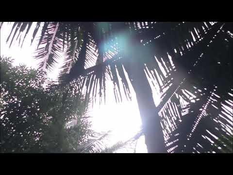 Bayugin Falls, Sorsogon Philippines - YouTube