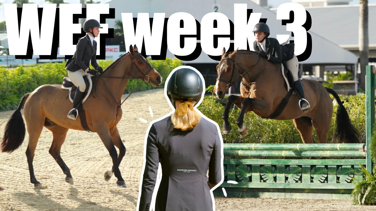 Showing at WEF for the first time | WEF vlog #3 - YouTube