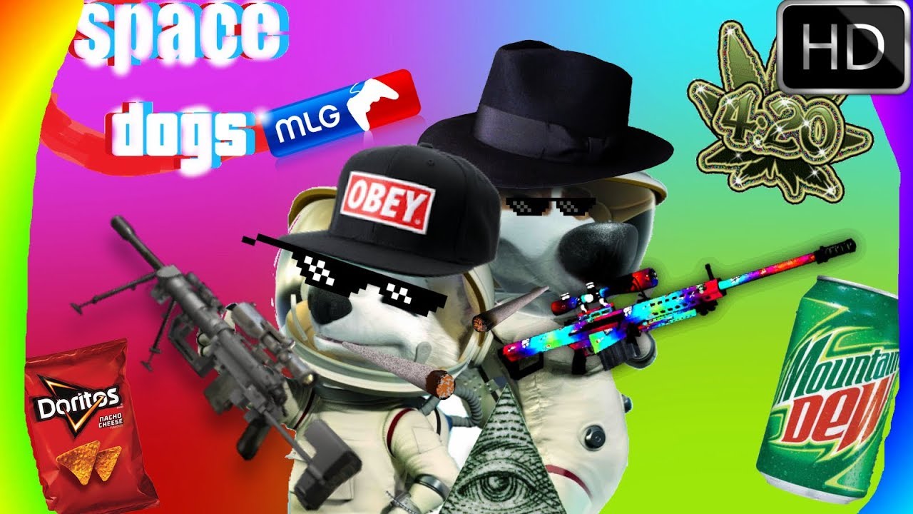 Space dogs MLG Dublado HD - YouTube