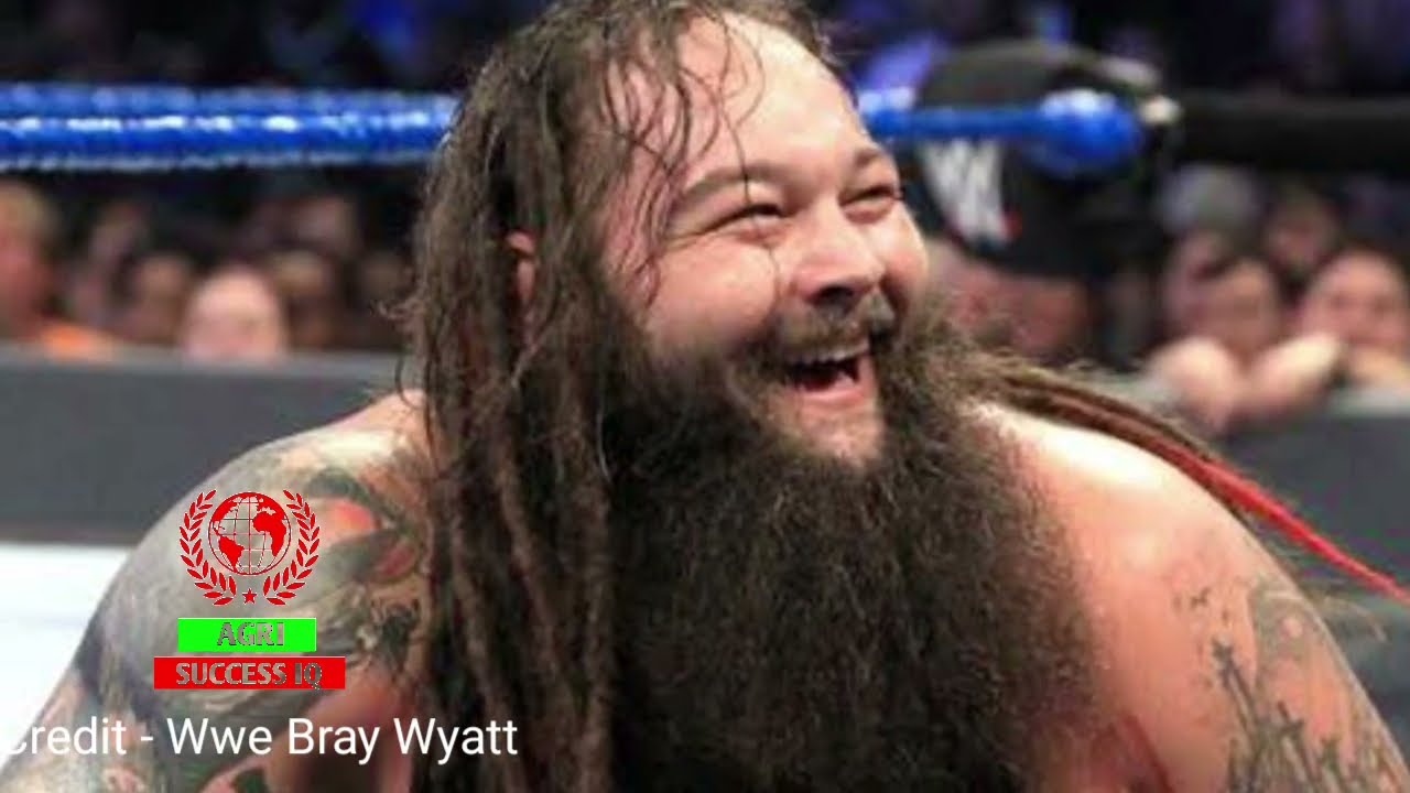 Former Wwe Champion Windham Rotunda Ak Bray Wyatt Last Funeral Video ...