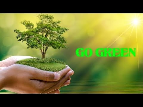 Tugas UAS Multimedia Kelompok 5 | Project Video Cinematic Dengan Tema ...