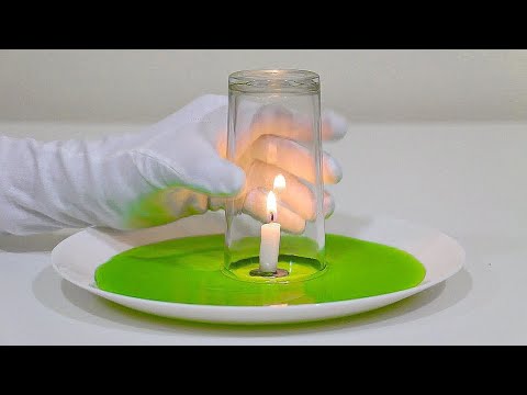 The Rising Water - Science Experiment | Why Does Water Rise Up - Explained | - YouTube