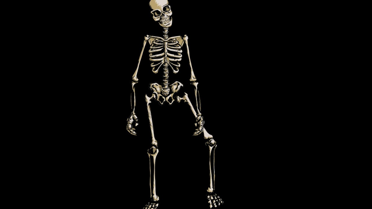 Skeleton - YouTube