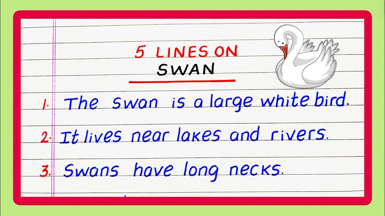 Five Lines on Swan | 5 Lines on Swan | Few Lines about Swan | in ...