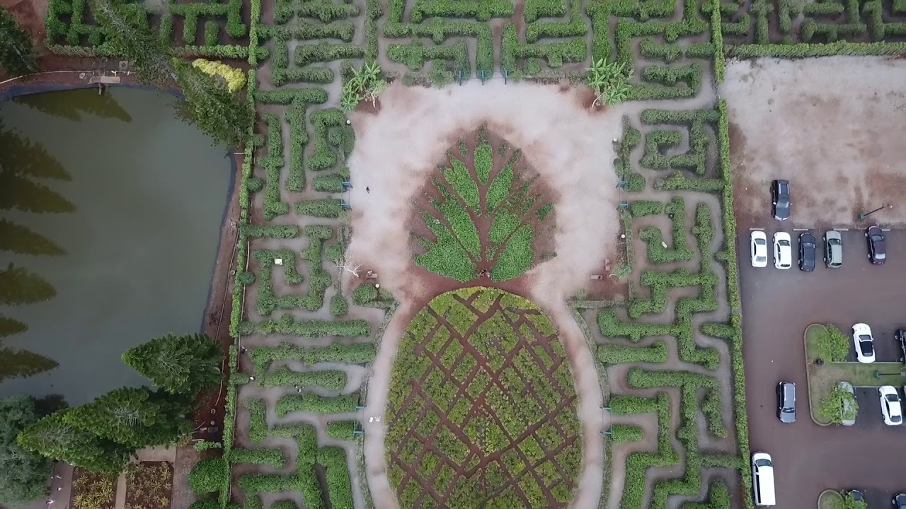 DJI Drone footage of Dole Pineapple Plantation Pineapple shaped garden ...