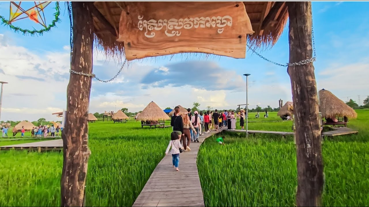 ដំណើរកំសាន្តទៅលេងនៅ ស្រែស្រូវកាហ្វេ , Excursion to the rice field ...