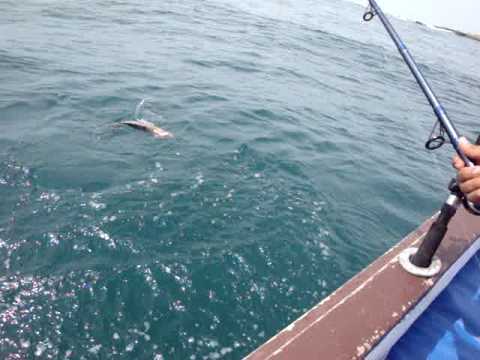 El pescado lora!!!! - YouTube