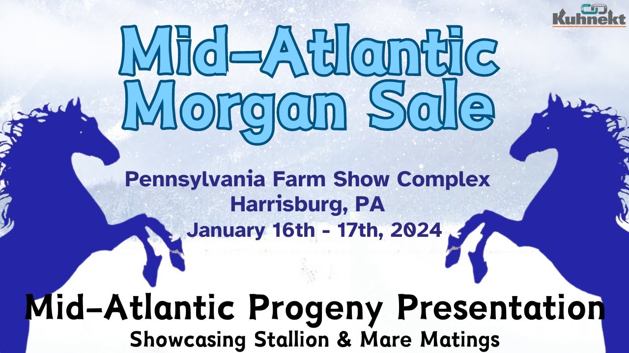 Progeny Presentation from the Mid-Atlantic Morgan Sale - YouTube