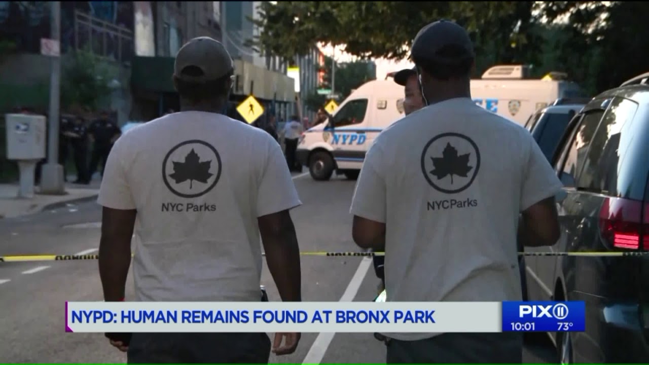 Body found near Bronx park by officers investigating suspicious package ...