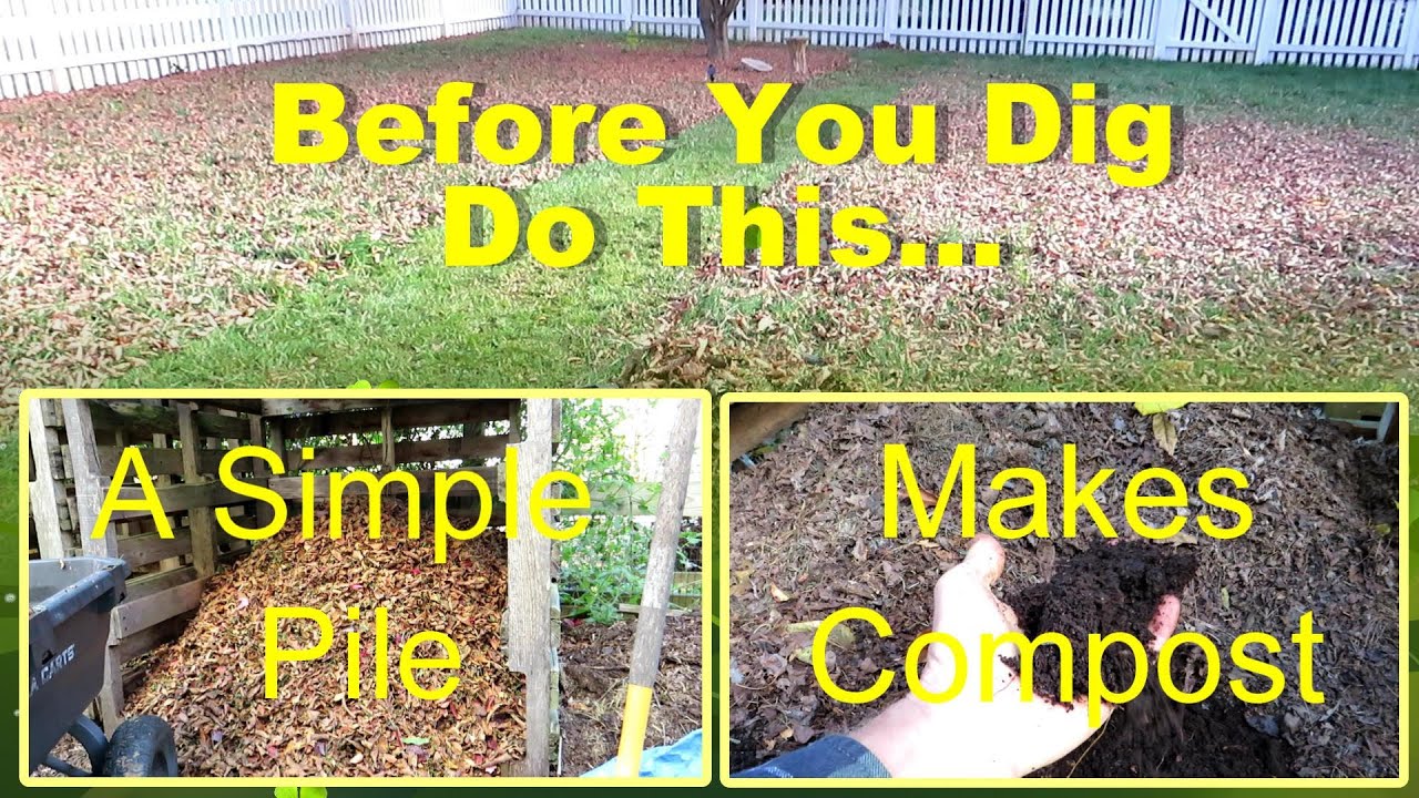 My First Garden Compost Pile: Just Make a Pile of Leaves and Grass as ...