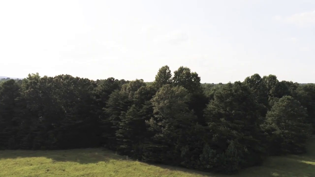 Bucolic pasture and timberland tract in Carbon Hill - YouTube