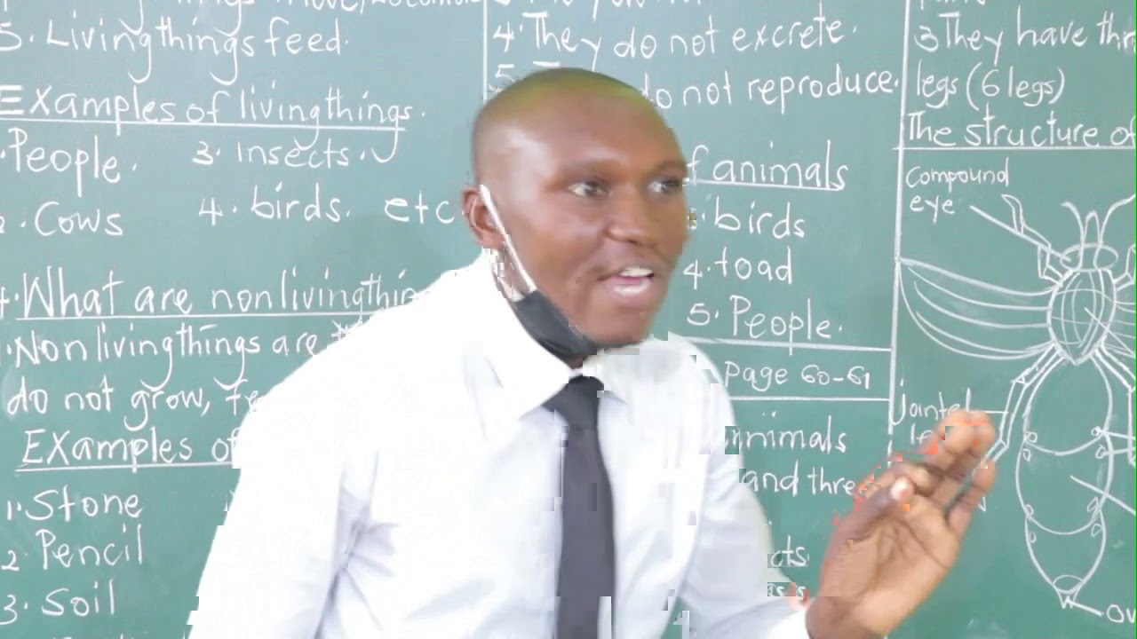 PRIMARY 3 SCIENCE WORKBOOK REVIEW - YouTube