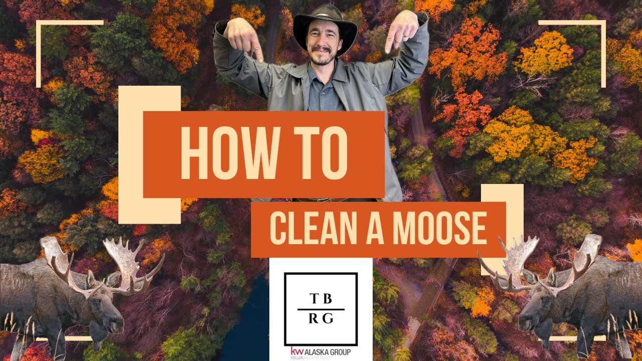 How to field dress an Alaskan Moose - YouTube