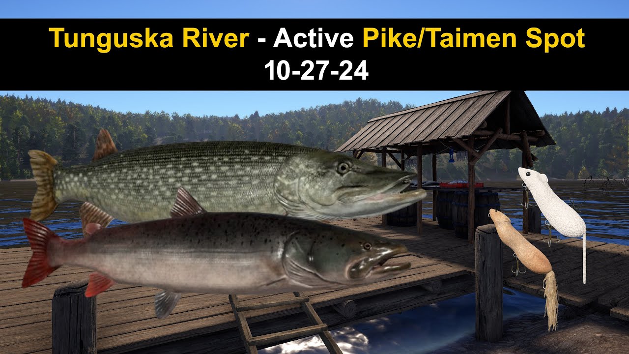 Russian Fishing 4, Tunguska River - Active Pike/Taimen Spot 10-27-24 ...
