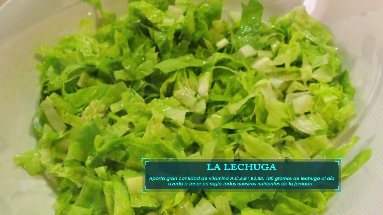 Propiedades y beneficios de la Lechuga | AgroSalud - YouTube