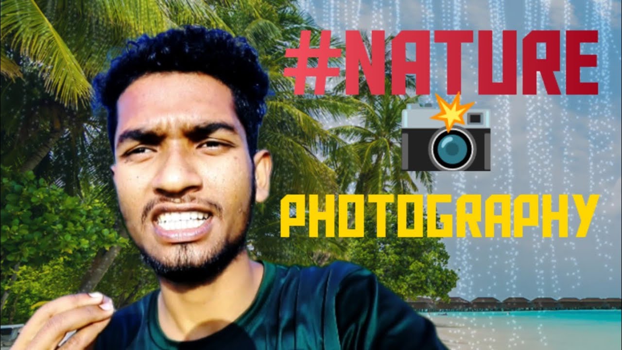 বনে পাখি ফটোগ্রাফি।Vlog.2 photography in the forest. - YouTube