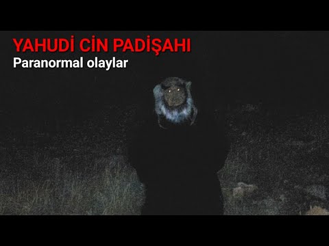 MÜSLÜMAN OLMAYI KABUL EDEN YAHUDİ CİN PADİŞAHI MUCİT (CİN DAVETİ) Paranormal olaylar