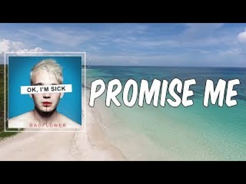 Promise Me / Badflower - lyrics - YouTube