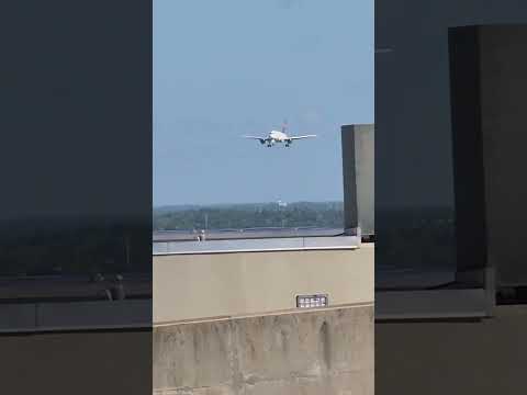 Delta Airlines Final Approach to TPA Runway 19R! #shorts #travel #like ...