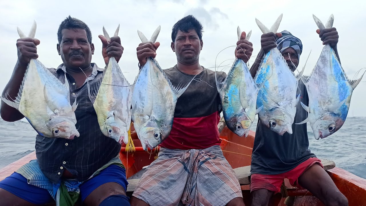 DIAMOND TREVALLY FISH CATCHING IN THE SEA - YouTube