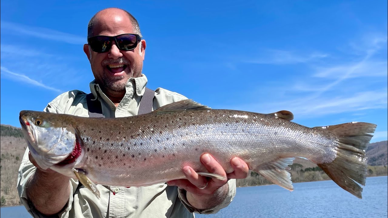 Pepacton Reservoir. 25” 6lb Brown Trout PB!!!! Apologize for the ...