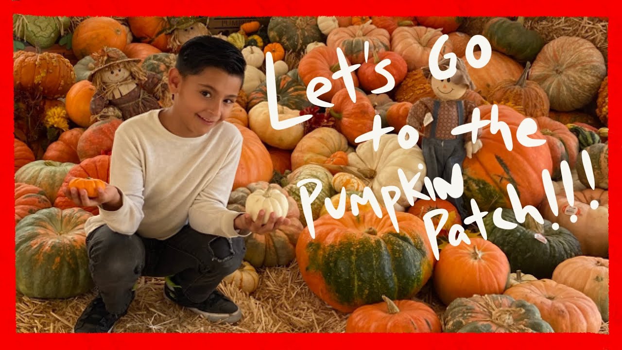 CORN MAZE ESCAPE PUMPKIN PATCH FUN | LETS GO TO THE PUMPKIN PATCH | FUN ...