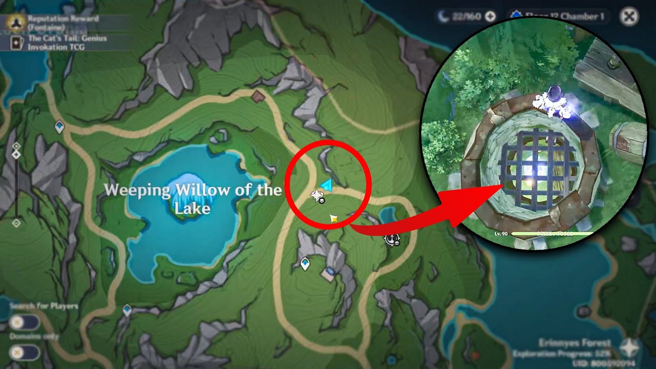 How to get the Hydroculus in Well near Weeping Willow of the Lake | Genshin Impact - YouTube