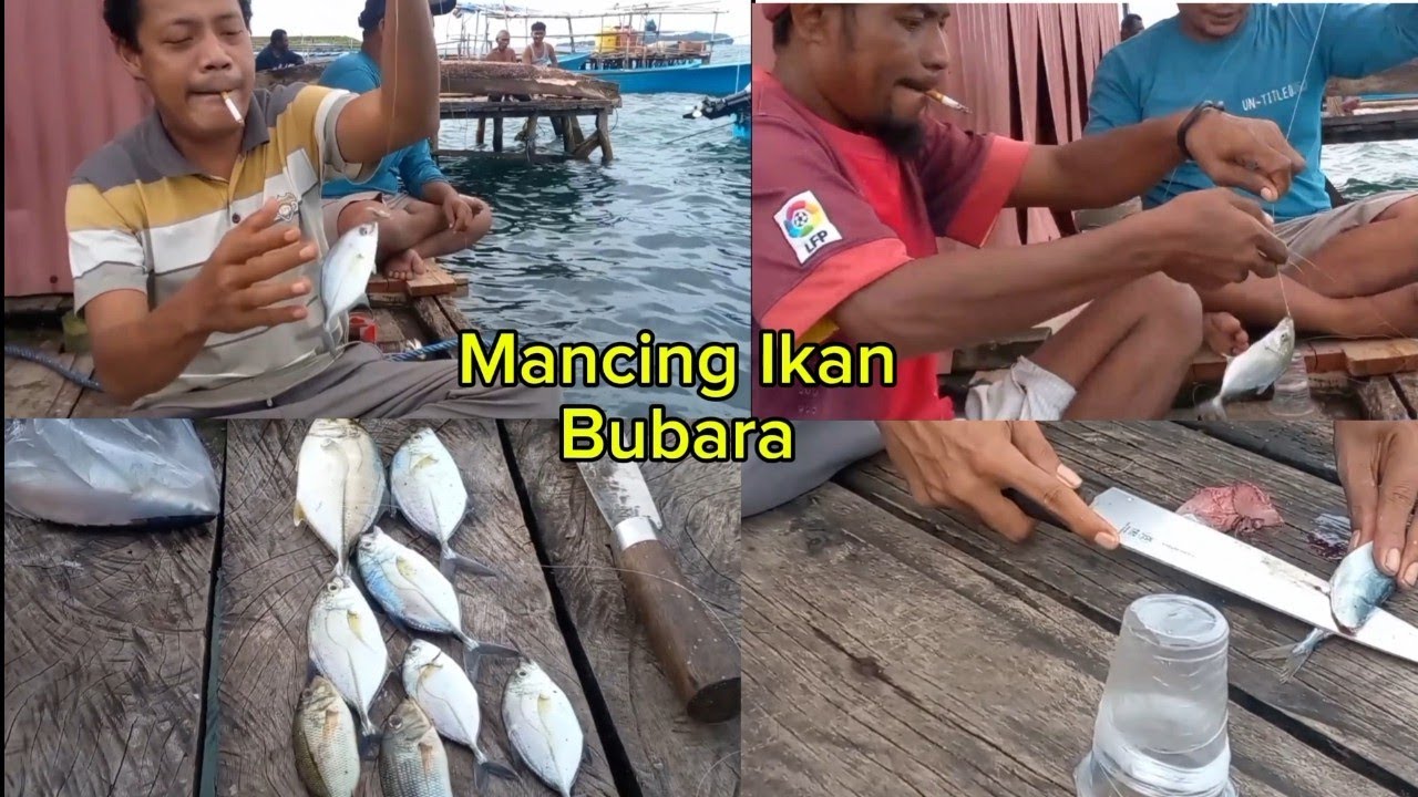 Spot Mancing Ikan Bubara Di Tepi Pantai - YouTube