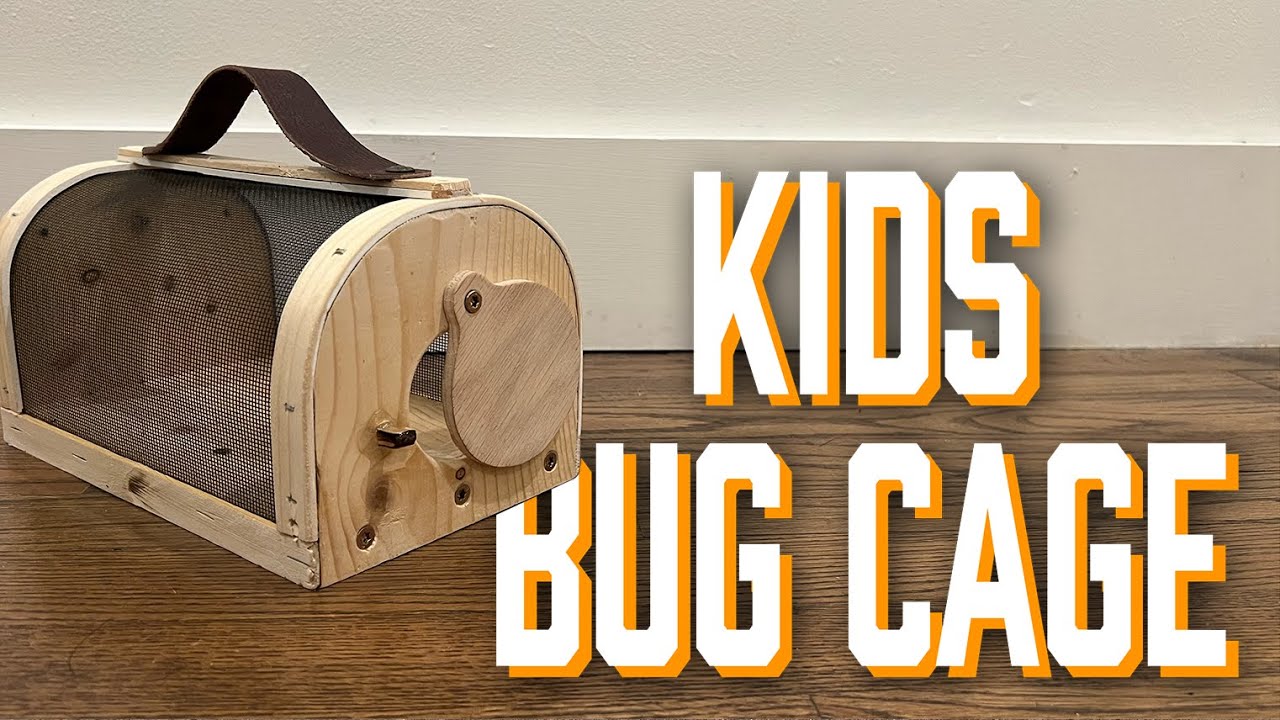 Kid's DIY Bug Cage - YouTube