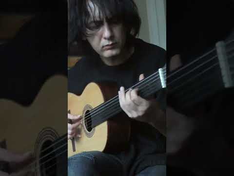 Perdesiz Gitar - Fretless Guitar - Duygu yüklü enstrüman