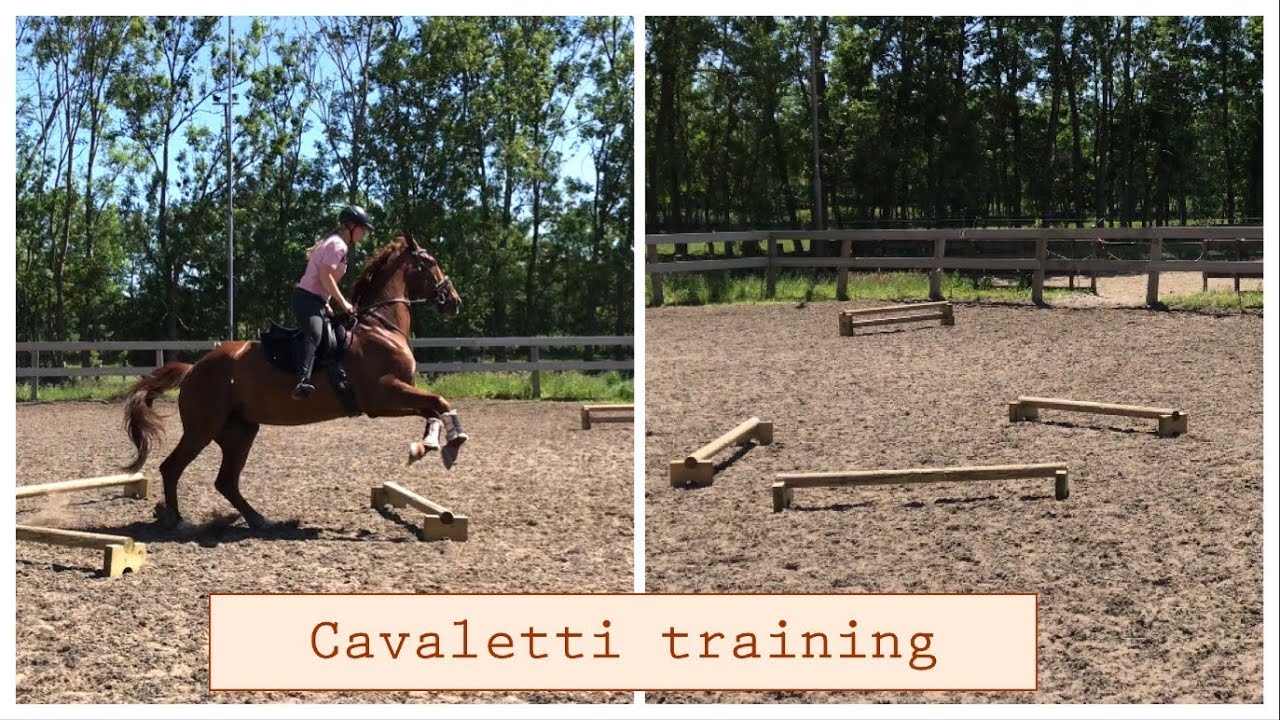 Cavaletti training - YouTube
